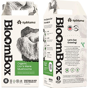 NuBlume Organic Lion's Mane Mushroom Grow Kit | Grow Your Own Fresh Gourmet Mushrooms at Home | Edible Indoor Mushroom Growing Kits Great Gift