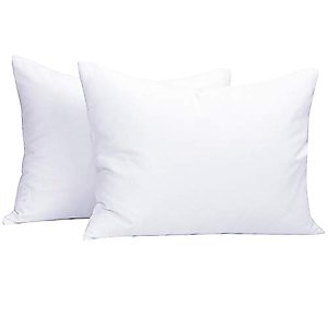 NTBAY 2 Pack 100% Brushed Microfiber 13x18 Zippered Toddler Pillowcases, Super Soft and Cozy Travel Kids Nursery Pillow Cases, 13x18 Inches, White