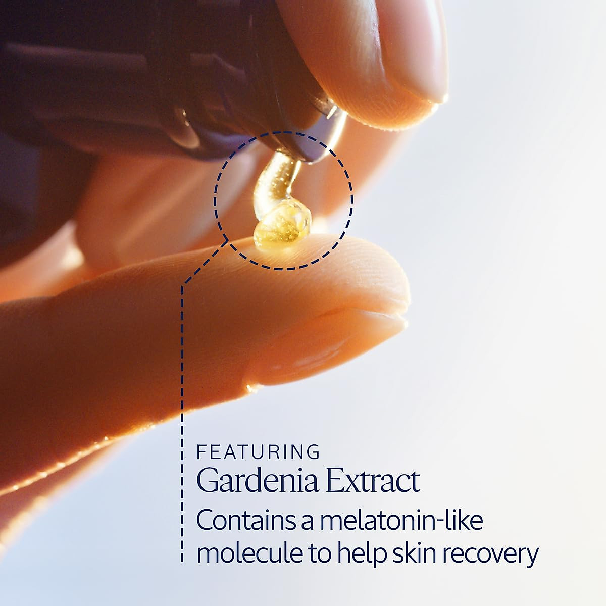 L'OCCITANE Immortelle Overnight Reset Oil-In-Serum: More Radiant Skin In 1 Night, Smooth Fine Lines, Revitalize Dull Skin, Award-Winner, With Immortelle Essential Oil, 1.6 Fl. Oz