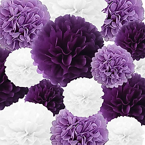 Tissue Paper Pom Poms 22 Pcs Purple,Lavender,White Paper Flower Ball for Birthday Bachelorette Wedding Baby Bridal Shower Party Decoration by BRT Bearingshui