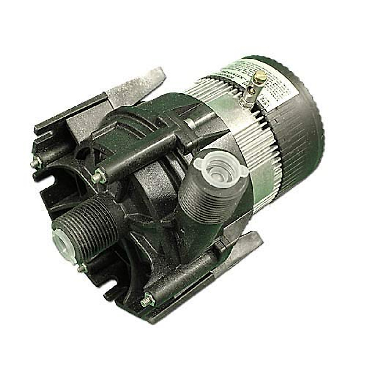 Strike3 1-40HP 230V 0.75 in. MPT E10 Series Circulation Pump