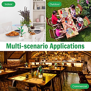 Fly Fans for Tables, Fly Repellent Fan for Outdoor & Indoor, USB or AA Batteries Powered, Portable Fly Fan with Soft Blades Keeps Flies Away, Fly Repeller for Restaurant, BBQ, Party (3 Pack)