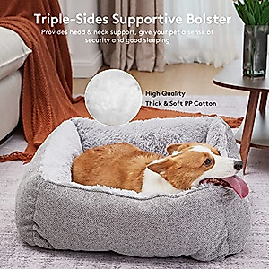 FURTIME Medium Dog Beds for Medium Dogs, Rectangle Washable Dog Bed, Orthopedic Dog Bed Soft and Comfy Calming Puppy Bed Waterproof Dog Cuddler Sofa Pet Bed with Anti-Slip Bottom M(25''x21''x8'')