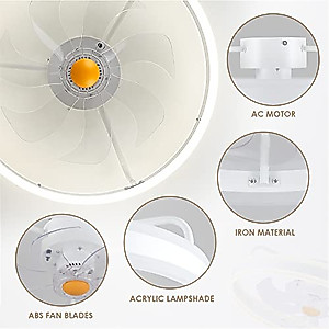 Ceiling Fans with Lights Low Profile - Flush Mount Modern Ceiling Fans with Lights Remote - 20” Asyko Bladeless Enclosed Ceiling Fans, Small Smart Ceiling Fans for Bedroom, Living Room and Kitchen…