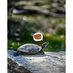 Deseret Pets Live Mealworms 500 Count Large (0.75-1")