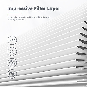 AROEVE Air Purifier with Two Filter(One Basic Version & One Standard Version)