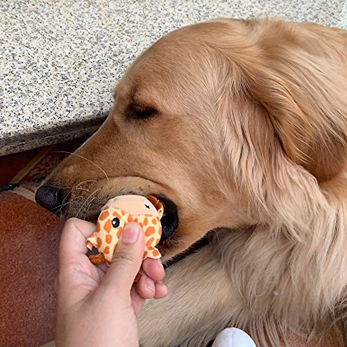 Jalousie 12 Pack Plush Animal Dog Toy Dog Squeaky Toys Cute Pet Plush Toys Stuffed Puppy Chew Toys for Small Medium Dog Puppy Pets - Bulk Dog Toys (12 Pack Animal)