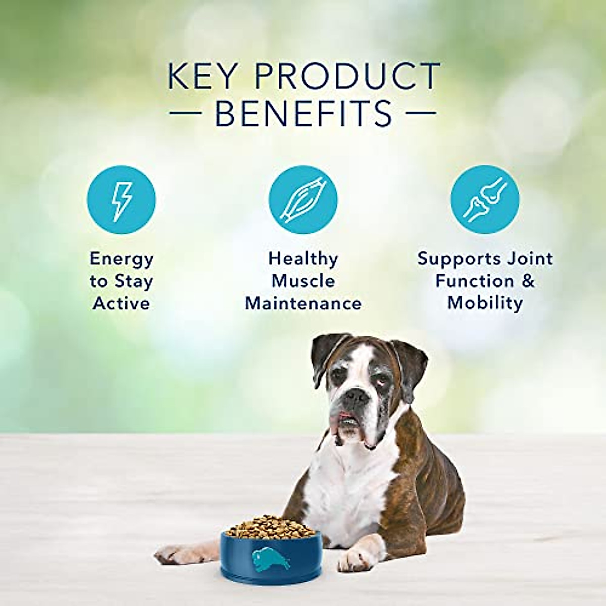 Blue Buffalo Freedom Grain Free Natural Senior Dry Dog Food, Chicken 24-lb