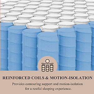 BedStory Queen Mattress 14 inch - Hotel-Collection Hybrid Mattress for Extra Lumbar Support - Pain Relieving Deep Sleep Plush Mattress - Fiberglass Free Bed in a Box, CertiPUR-US Certified, 365-Trial