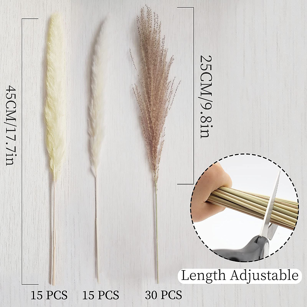 EVOLUX Pampas Grass Decor,60 Pcs Natural Dried Pampas Grass|15 Pcs White & 15 Pcs Beige & 30 Pcs Reed Grass,17" Pompas Grass for Flowers Arrangement Home Garden Wedding Decor