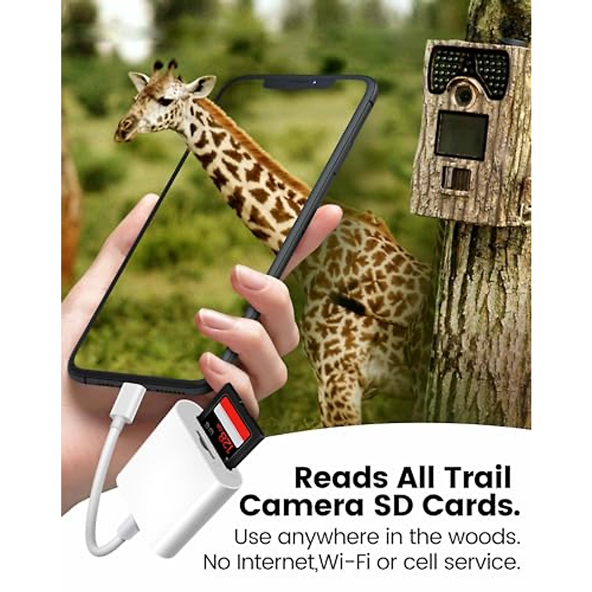 SD Card Reader for iPhone iPad, Dual Connector Memory SD Card Adapter, Support SD/MicroSD Cards, High-Speed Digital Trail Camera to iPhone Viewer, Plug and Play - White