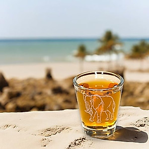 Hip Flask Plus 2oz Elephant Shot Glass - Wild Life