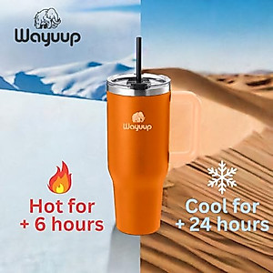 Wayuup 40 oz Tumbler with Handle and Straw Lid, Stainless Steel Vacuum Insulated Double Wall Water Bottle Leak-proof, Non Slip more than 24 Hrs or Hot for 6 Hrs (Tigger), WPM40