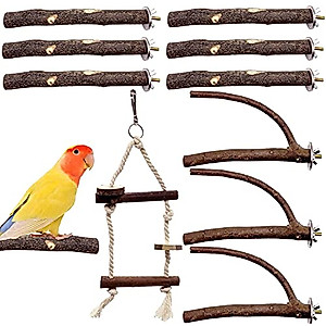 EBaokuup Bird Parrot Perch Stand Set - 10 PCS Natural Wood Bird Parakeet Stand Branch, Fork Perch Rod Stand Paw Grinding Stick Bird Cage Accessories for Pet Budgies Cockatiels Conure Lovebirds