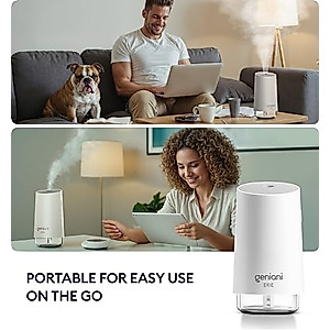 GENIANI Portable Small Cool Mist Humidifiers 250ML - USB Desktop Humidifier for Plants, Office, Car, Baby Room with Auto Shut Off & Night Light - Quiet Mini Humidifier (White)