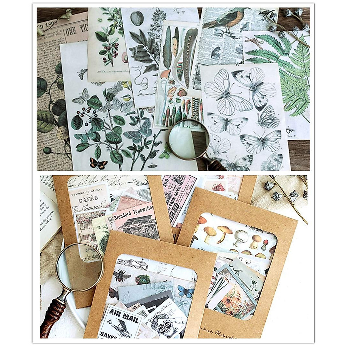 DESEACO Vintage Aesthetic Posters for Room Aesthetic Wall Decor, Plant Journal Green Room Decor for Teen Girls, Botanical Wall Art in Nature Journal, Cute Journaling Supplies Aesthetic Collage Kit