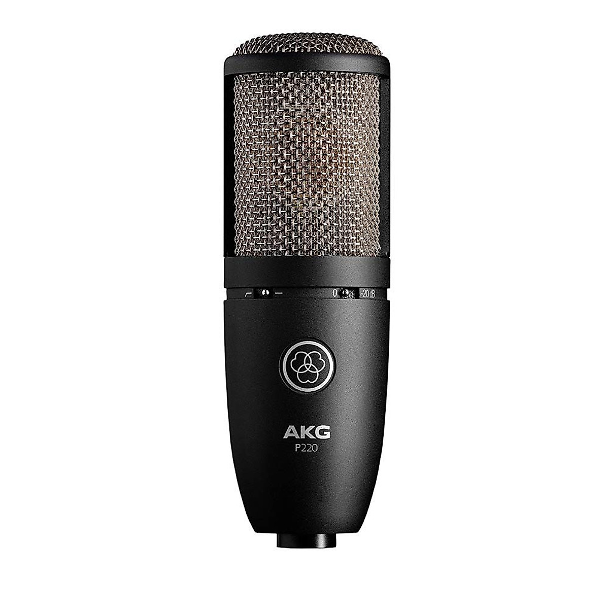 AKG P220 High-Performance Large Diaphragm True Condenser Microphone Bundle with Desktop Boom Scissor Arm Mic Stand and Pop Filter (3 Items)