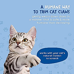 Kitty Cure Cat Scratching Manicure Strips, Scratch Liner for Litter Box, Furniture, or Any Flat Surface, Nail File for Cats, 6 Peel & Stick Scratching Strips, 3 Pairs of Strips in Different Sizes