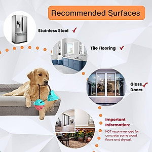 CharTess LLC Bundle -Interactive Dog Ball Combined with Bone-Shaped Chew Toy. Alleviate Separation Anxiety and Boredom, Puppy Teething Chew Toy, Toys to Improve Canine Dental Health