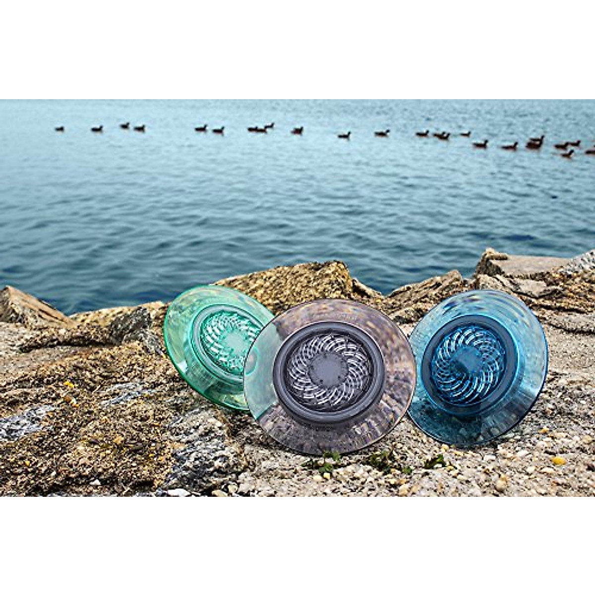 Speakman S-4002 Reaction Single-Function Showerhead for Stylish Bathroom Décor, 2.5 GPM, Clear Smokey Gray