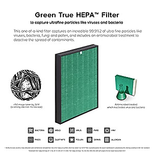 Coway Airmega 230/240 Air Purifier Replacement Filter Set, Max 2 Green True HEPA and Active Carbon Filter