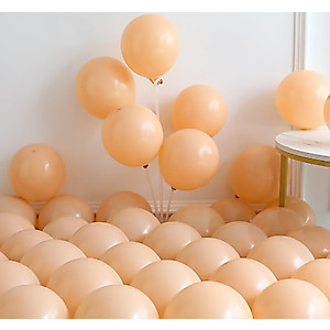 Little Pumpkin Baby Shower Decorations ,Boy Fall Pumpkin Balloon Garland Arch Kit with Dusty Blue Orange Blush Little Pumpkin is on the Way Backdrop for Thanksgiving Gender Reveal Birthday Decor