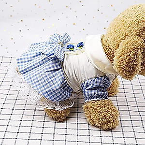 Dog Retro Lattice Skirt Princess Dress Dog Puppy Cute MultiLayers Wedding Party Dress Retro Skirt Luxury Lace Bow Flower Dress Bride Costume Petti Dress for Small Dog Cat Puppy Pet Apparel (Blue, XXL)