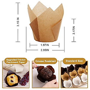 200pcs Tulip Cupcake Liners, Premium Muffin Liners Holders for Baking Cups, Greaseproof Cupcake Wrappers in Standard Size, Classic Parchment Paper Cupcake Liners for Party, Christmas by JIRNGLA