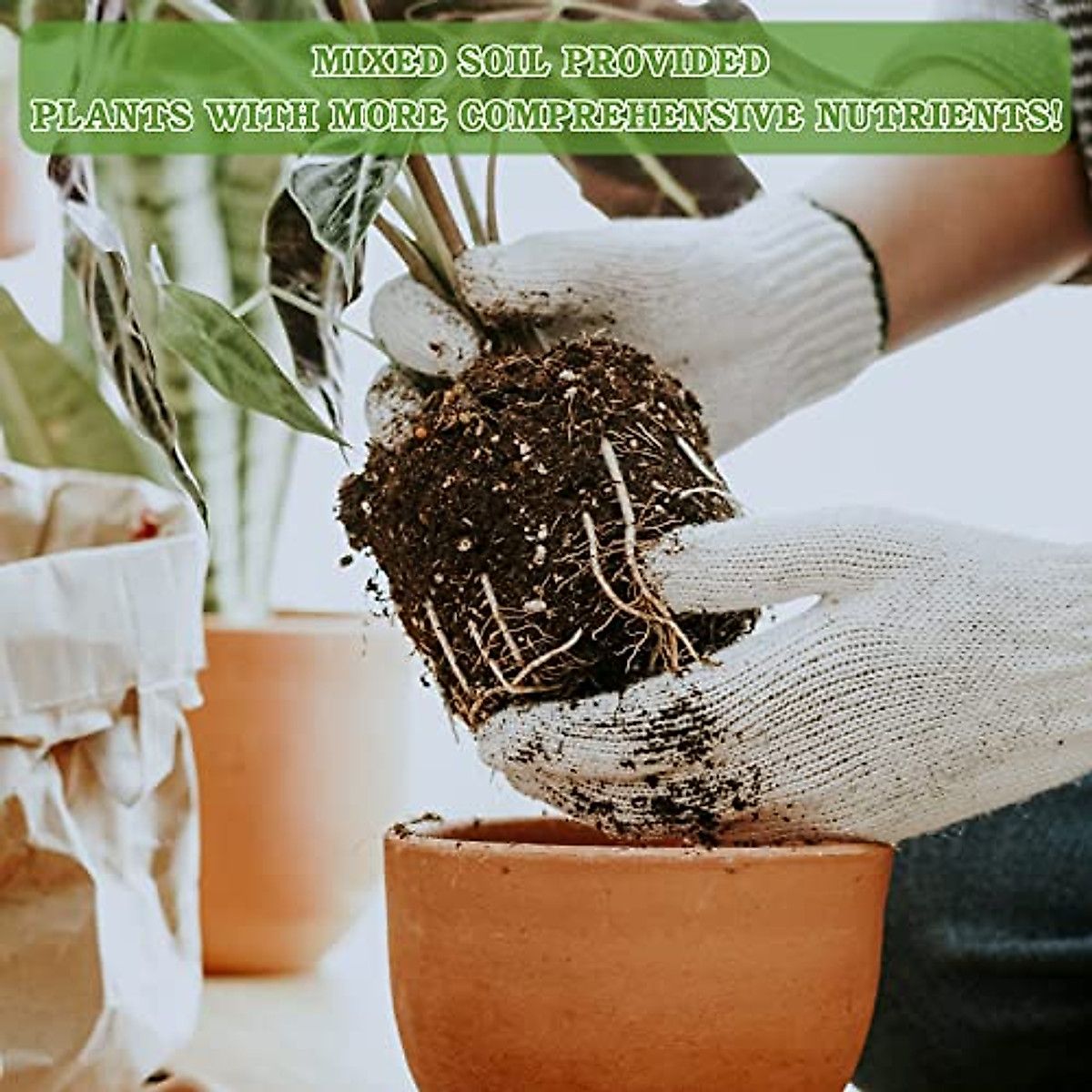 Halatool 6 QT Organic Top Soil Garden Succulent Soil for Indoor & Outdoor Plants Bonsai Cactus Soil Potting Mix for Houseplants Flowers Vegetables & Herbs