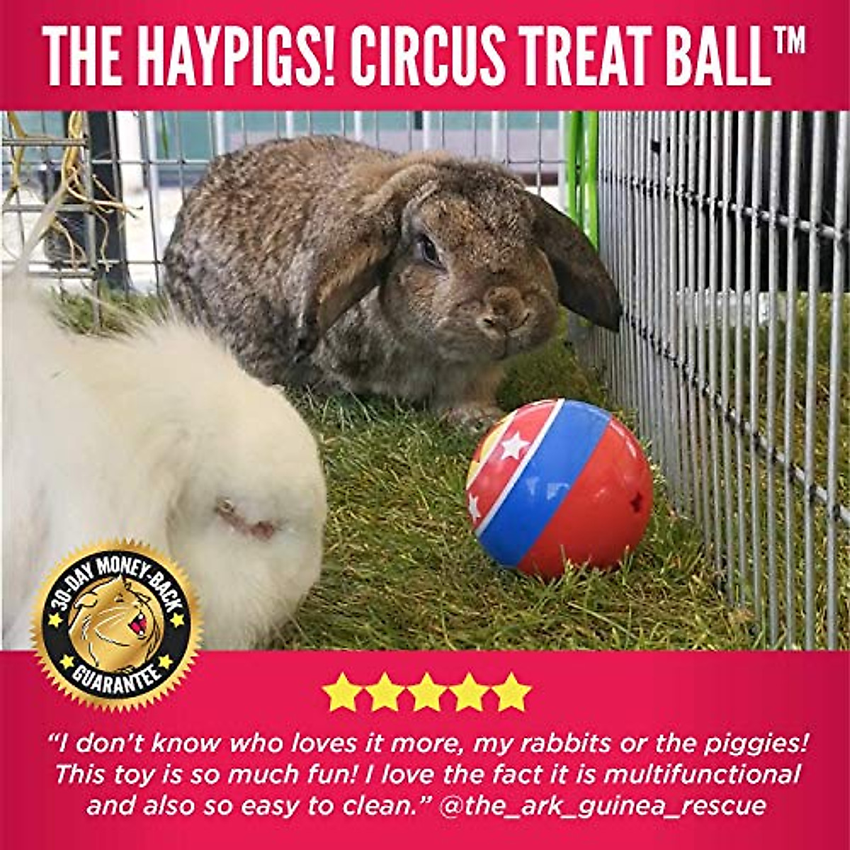 HAYPIGS 1x Circus Themed Guinea Pig Treat Ball - Guinea Pig Toys and Accessories - Rabbit Enrichment Toys Small Animal Toy - Small Pet Activity Ball - Pet Entertainment
