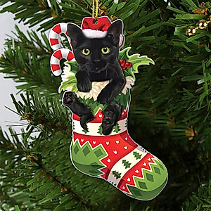 Black Cat Funny Acrylic Ornament - Hilarious Sock Design - Dark Humor Christmas Tree Decoration - 2024 Kitten Christmas Ornament