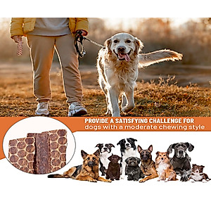 PETSamba 6-Inch Flat Beef Jerky Chews – 20-Pack, All-Natural Beef Esophagus Treats, Highly Digestible, Ideal for Dogs, Grain-Free & Non-GMO