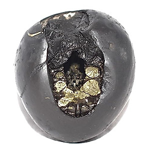 Adwaitya Golden ChinnaMasta Dasha MahaVidya Shaligram, Fossil, Fossil