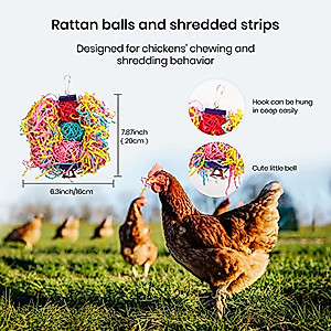 Ohanniewa Chicken Toys for Hens Chicken Xylophone Toy Chicken Mirror and Shredding Foraging Toys for Coop