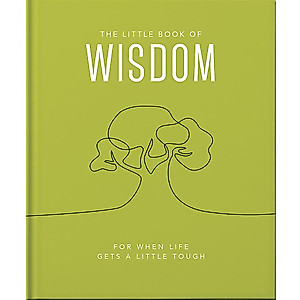 The Little Book of Wisdom: For when life gets a little tough (Little Books of Wellbeing)