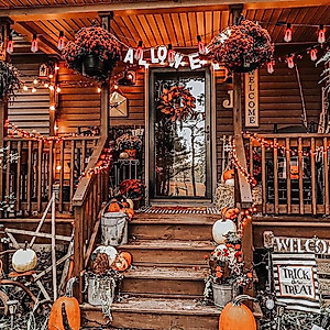 Halloween Flicker Flame Light Bulbs, ST40 Blood Drop Replacement Bulbs Edison Flicker LED Bulbs with Orange Red Flame for Outdoor Halloween String Lights, 1 Watt- E17 Intermediate Base, 10 Pack