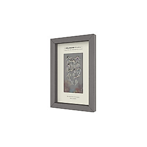 Moleskine Limited Edition Studio Collection Notebook, Hard Cover, Large (5" x 8.25"), Ruled/Lined, Sonia Alins, 240 Pages