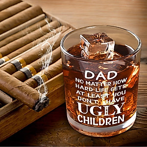 DAZLUTE Dad Gifts, Funny Whiskey Glass for Dad, Father’s Day Gifts Idea, Birthday Present Christmas Gifts for Dad Father Papa Daddy from Daughter Son, 10Oz Old Fashioned Glass