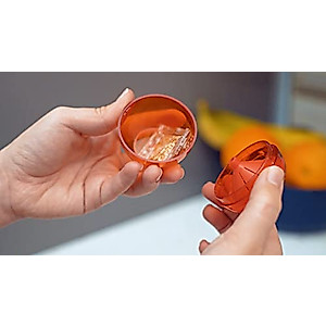 Raid Fruit Fly Trap Bundle, Set of 3 2-Pack Apple Fruit Fly Catcher Indoor Trap, 360-Day Supply of Fruit Fly Traps for Kitchen & Dining Areas, Reusable Gnat Traps w/Food-Based Lure for Fruit Flies