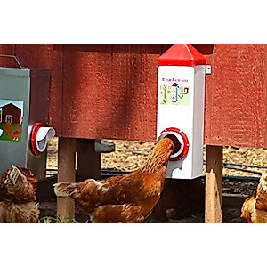 RentACoop 10lb High Rise BPA-Free Single-Port Chicken Feeder - Includes Anti-Roost Lid, Rain Hood, and Mounting Hardware - Suitable for 12 Week or Older Chickens, Adult Chickens, and Poultry