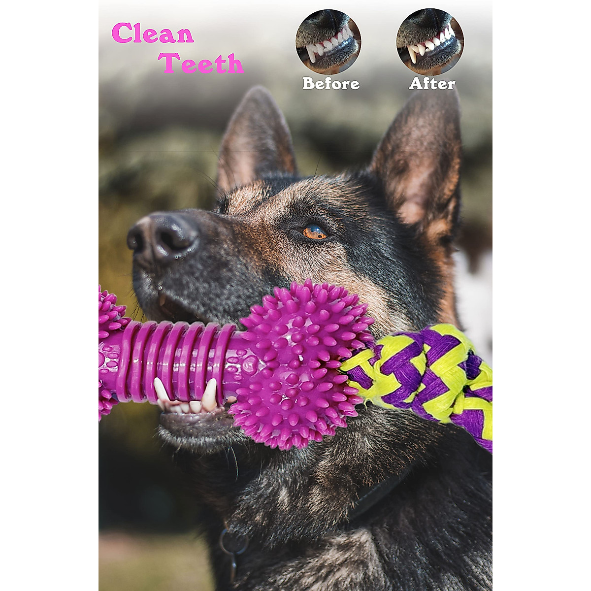 JADEWELL 3-in-1 Durable Dog Chew Toy with Natural Rubber Dental Bone Rope and Tennis Ball for Aggressive Chewers Clean Teeth Interactive Toys for Puppy Small Medium Large Dogs Cats Pets