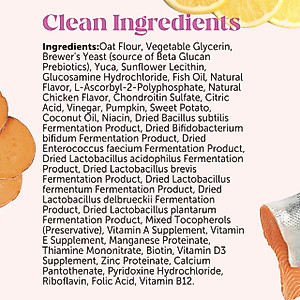 Pet Honesty Multivitamin Dog Supplement, Glucosamine chondroitin for Dogs, Probiotics, Omega Fish Oil, Dog Supplements & Vitamins, Dog Vitamins for Skin and Coat Allergies, (Peanut Butter 90 ct)