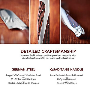 Hammer Stahl 10-Inch Scimitar, X50CrMoV15 Forged German High Carbon Steel Meat Knife with Quad-Tang Pakkawood Handle - Butcher's Breaking Cimitar Knife