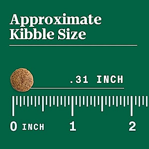 NUTRO Limited Ingredient Diet Small Bites Adult Dry Dog Food Lamb & Sweet Potato Dog Kibble, 22 lb. Bag