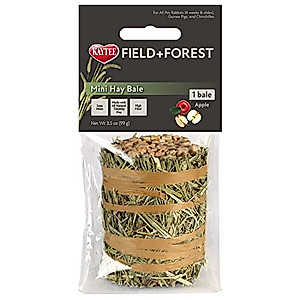 Kaytee Field+Forest Mini Hay Bale with Apple