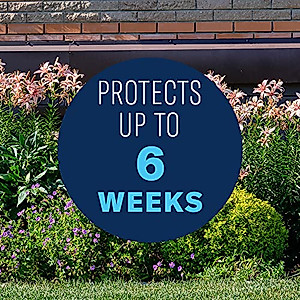 BioAdvanced Shrub Care Protect & Feed, Granules, 4 lb.