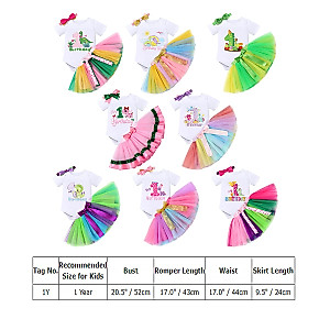 Pink Dinosaur Party Supplies 1ST Birthday Boho Rainbow Tutu Outfit for Baby Girl Wild One Year Old Party Cake Smash Photo Shooting Props Spring Easter Dress Headband Clothes Set Rose Gold 12 Months