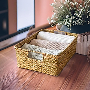 1 Pcs Handwoven Wicker Shelf Baskets, Natural Bamboo Rectangular Organizing Baskets for Shelf/Table, Built-in Iron Rack Wicker Storage Basket for Snack Cat Strip Small Things