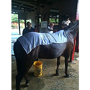 Dr. Milt's Hip and Joint Care, Horse Liniment for The Horse and Rider - 3 Pack - 8oz Cream, Gel, Spray.