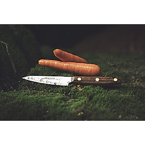 ARCOS Paring Knife 4 Inch Stainless Steel. Professional Kitchen Knife for Peeling Fruits and Vegetables. Ovengkol Wood Handle 100% natural FSC and 100mm Blade. Series Nordika. Color Brown